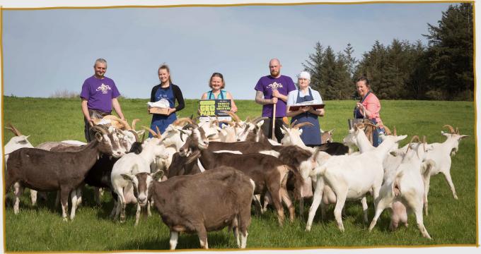 St Tola | Irish Goat Cheese